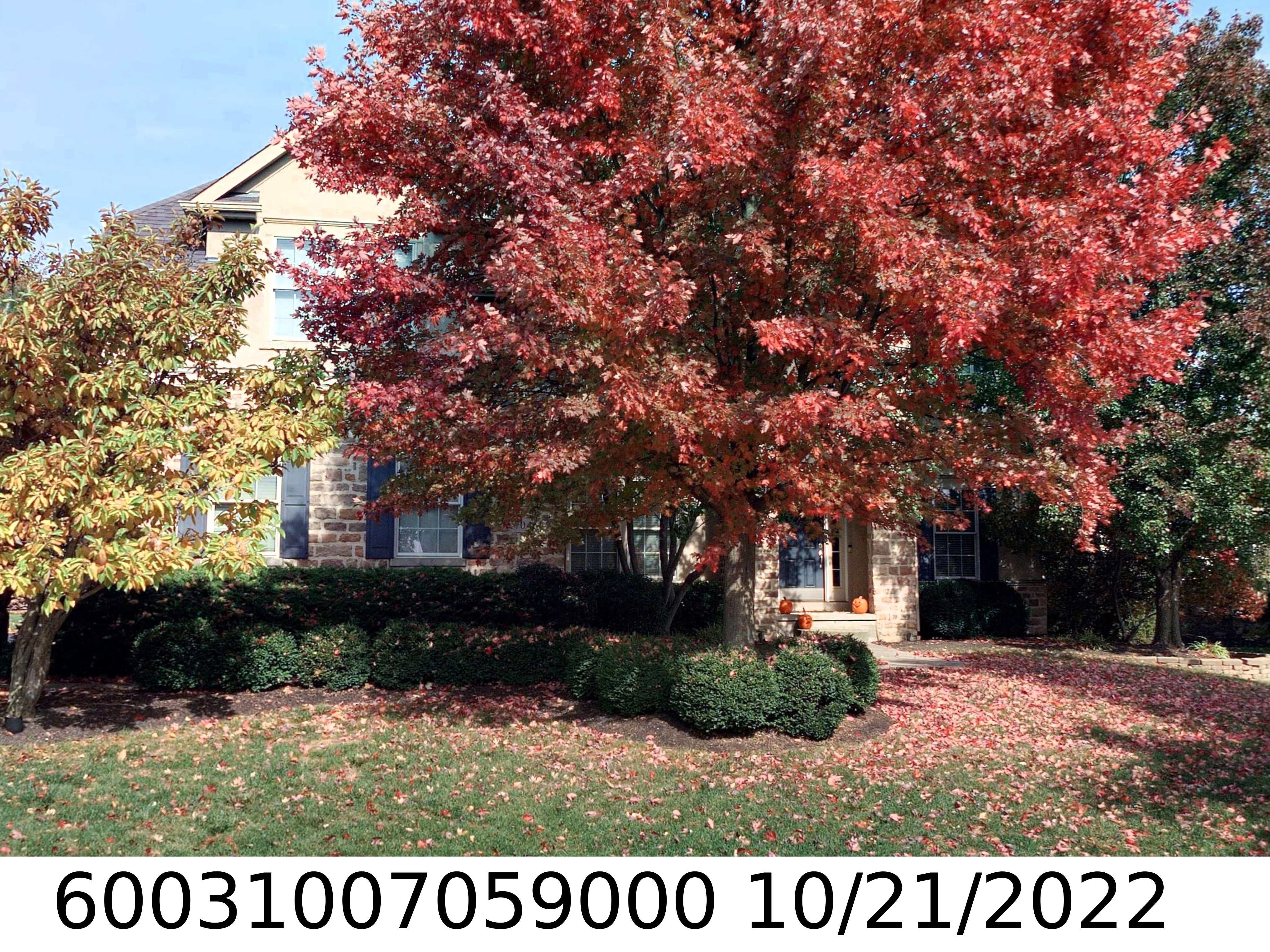 Delaware County, Ohio Auditor GIS